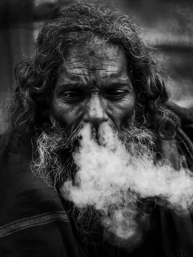 Mr.Wildman | XenForo community