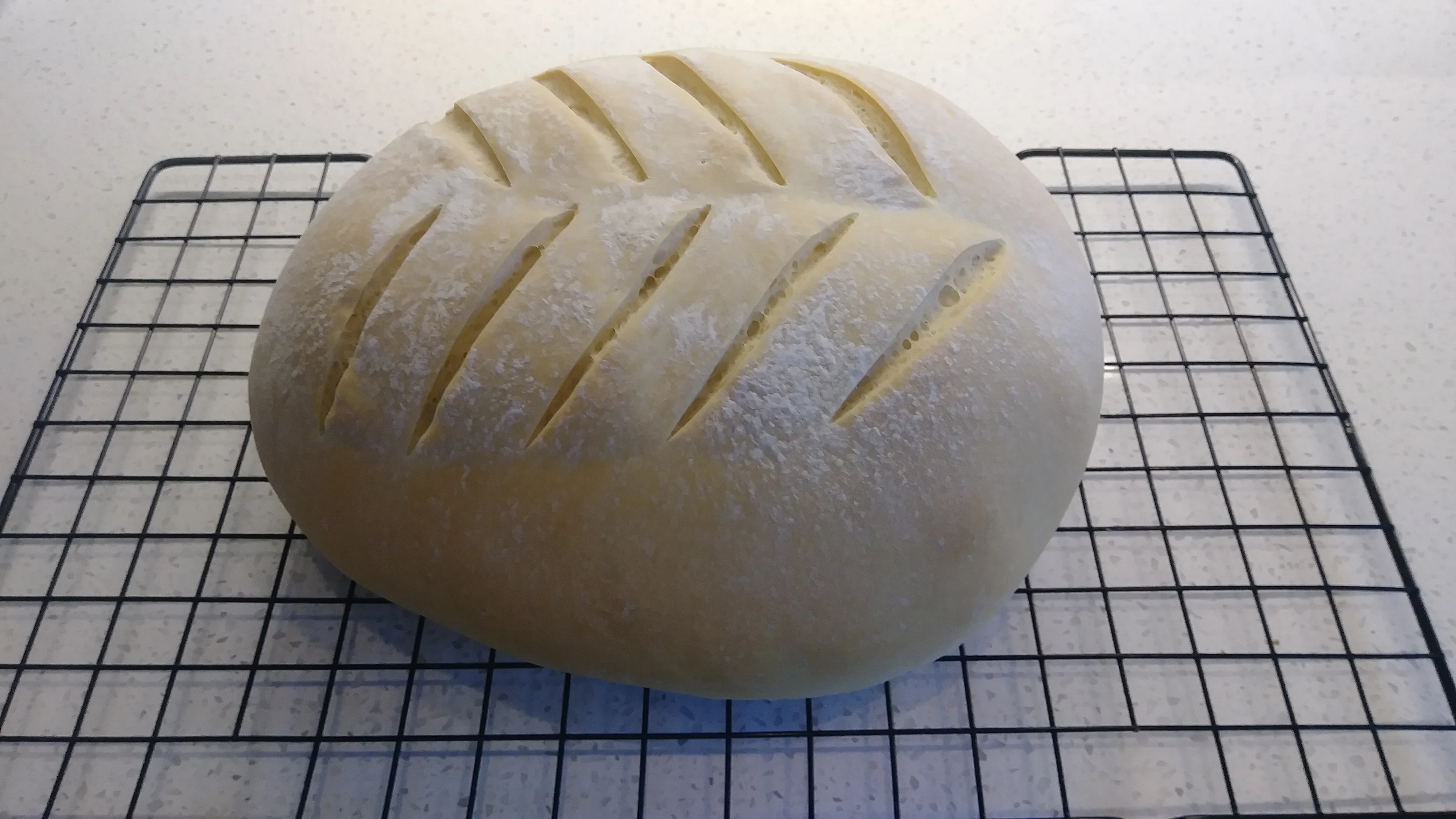 Slightly oval cob loaf with leaf design | XenForo community